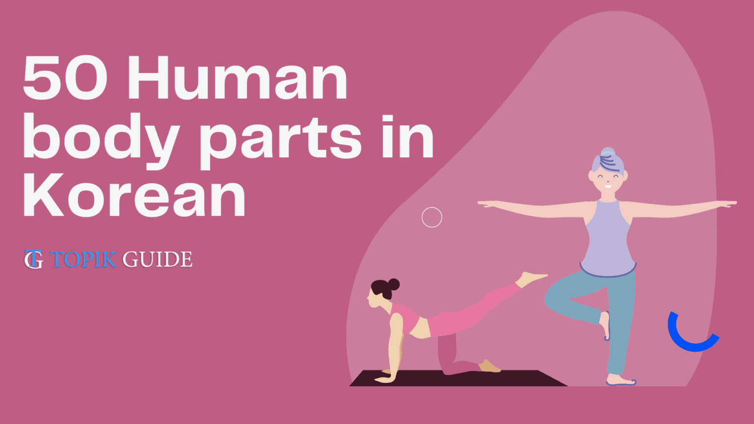 Complete List of Body Parts vocabulary in Korean | TOPIK GUIDE