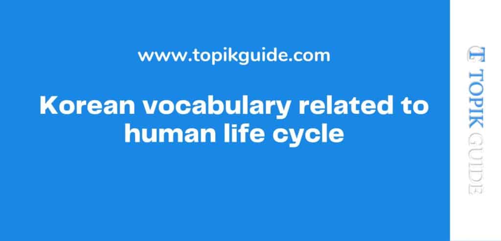 Korean vocabulary related to human life cycle | TOPIK GUIDE